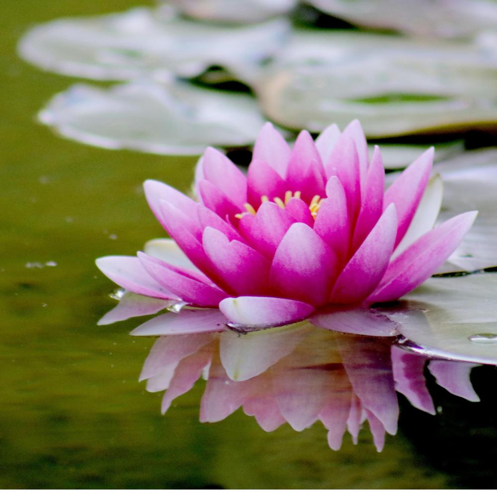 About ib designs | Caribbean Jewelry Company